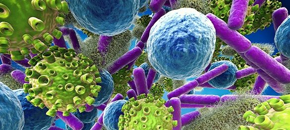 indigenous flora Archives - Everything Microbiology