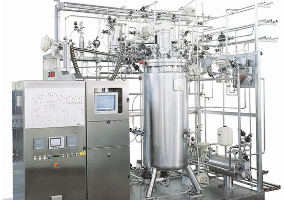 batch fermentation Archives - Everything Microbiology