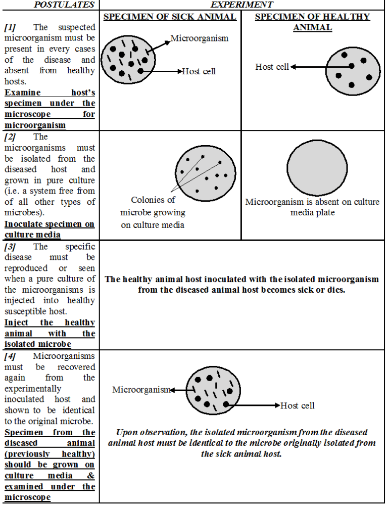 ROBERT KOCH (1843-1910) - Microbiology Class