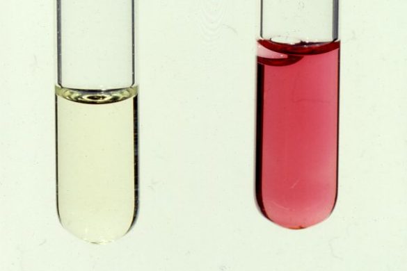 SATELLITISM TEST - Everything Microbiology