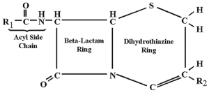 CEPHALOSPORINS - Microbiology Class