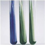 OXIDASE TEST - Microbiology Class