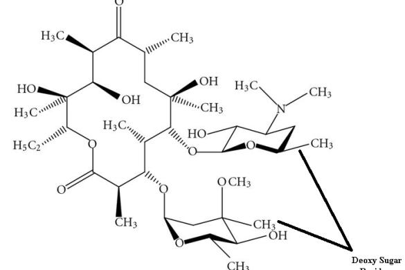 CHARACTERISTICS/FEATURES OF ANTIBIOTICS - Everything Microbiology