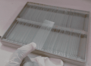 SLIDE RACK & STAINING RACK - Microbiology Class