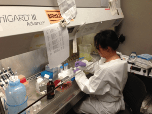 ASEPTIC TECHNIQUE - Microbiology Class