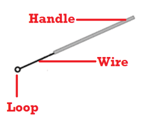 INOCULATION TECHNIQUE - Microbiology Class