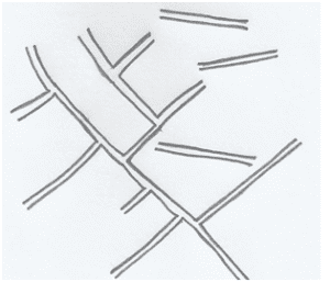 FUNGAL MORPHOLOGY - Microbiology Class