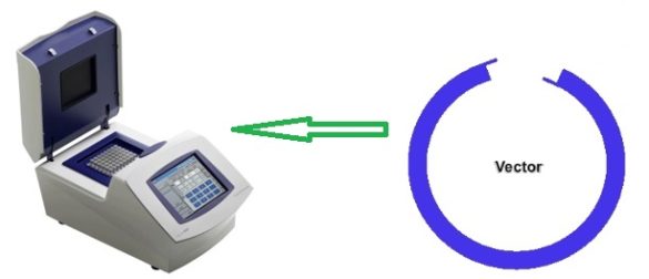 Introduction to Recombinant DNA (rDNA) Technology / Genetic Engineering ...