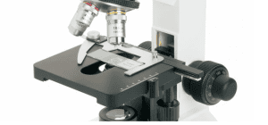 RESOLUTION AND MAGNIFICATION: THE OPTICS BEHIND THE MICROSCOPE - #1 ...