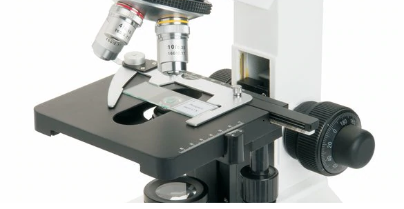 MAGNIFICATION - Everything Microbiology