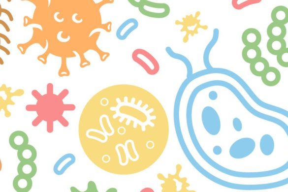 General Microbiology Archives - Everything Microbiology