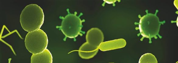 BACTERIAL TOXINS - Everything Microbiology