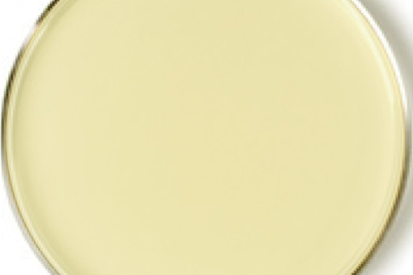 Desoxycholate Citrate Agar (DCA) - Everything Microbiology