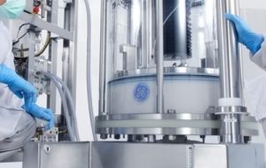 Batch Fermentation: Principles, Process, Applications, And Evaluation ...