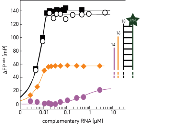 DIAGNOSTIC VIRUS ASSAYS - Everything Microbiology