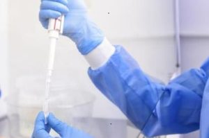 INOCULUM SIZE OF MICROBES - Microbiology Class