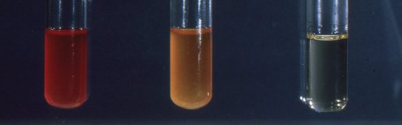 METHYL RED TEST - Everything Microbiology