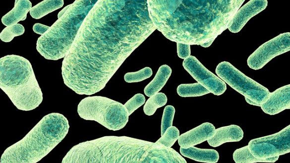PATHOGENICITY ISLANDS - Everything Microbiology