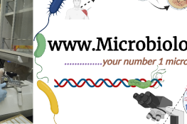 MICROBIOLOGY PROJECT TOPICS - Everything Microbiology
