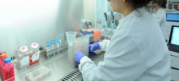 CLASSIFICATION/TYPES OF CELL CULTURE - Everything Microbiology