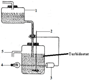 CONTINUOUS AND SEMI-CONTINUOUS FERMENTATION - Microbiology Class