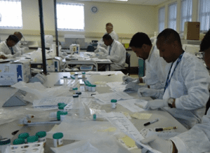 CLASSIFICATION OF MICROORGANISMS BASED ON HAZARDS AND LABORATORY ...