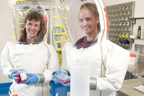 CORK (Hole) BORER - Everything Microbiology