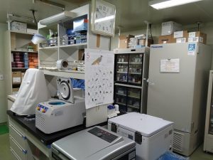 GOOD LABORATORY PRACTICE (GLP) - Microbiology Class