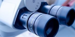 CARE OF THE MICROSCOPE - Microbiology Class