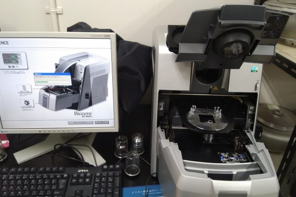 Microscopy & Microscope Archives - Everything Microbiology