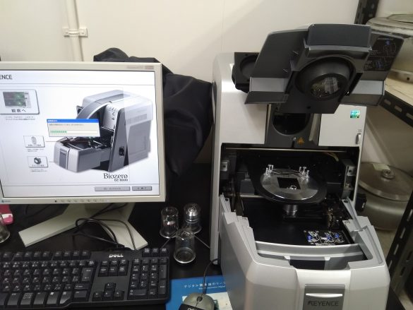 TYPES OF MICROSCOPES - Everything Microbiology