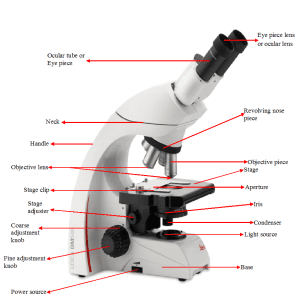FUNCTIONS OF THE PARTS OF A MICROSCOPE - #1 Microbiology Resource Hub