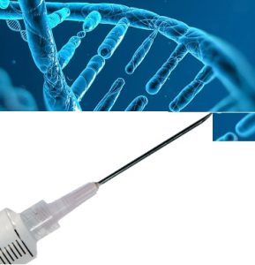 MUTATION: Definition, Types And Causes - Microbiology Class