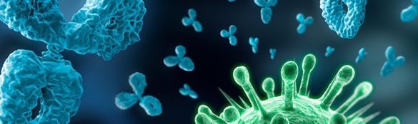 MORPHOLOGY OF VIRUSES - Everything Microbiology