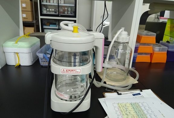 Advantages & disadvantages of cell culture techniques - Everything ...