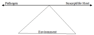 THE TRIANGLE OF EPIDEMIOLOGY (Epidemiological Triad) - Microbiology Class