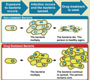 ANTIMICROBIAL (ANTIBIOTIC) RESISTANCE: Definition, Selective Pressure ...