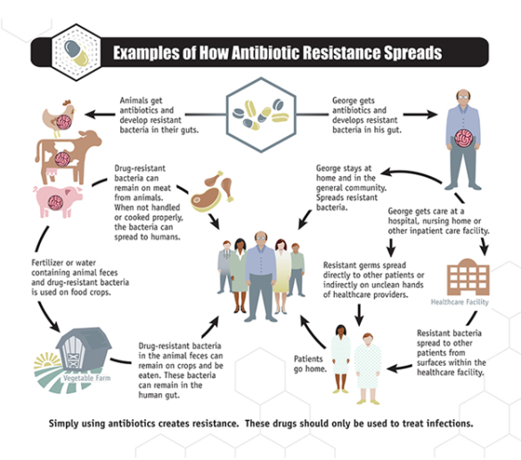 ANTIMICROBIAL (ANTIBIOTIC) RESISTANCE: definition, selective pressure ...