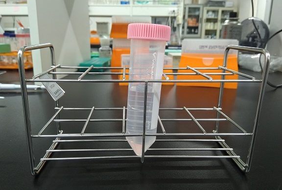 cell culture Archives - Everything Microbiology