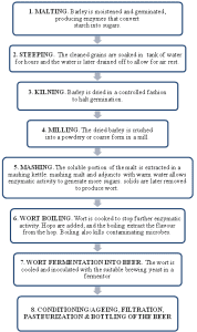 The Microbiology Of Beer Production - Microbiology Class