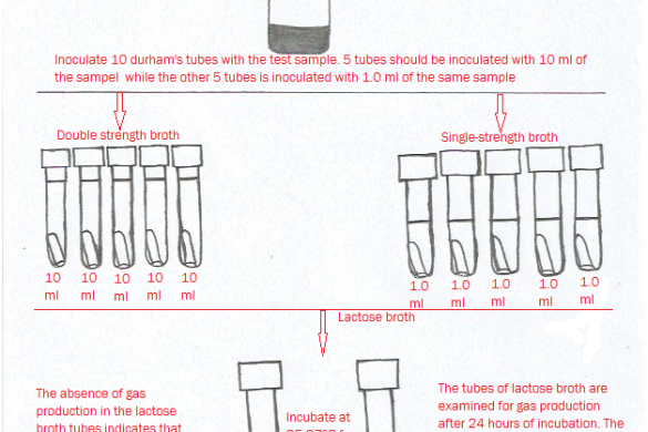 TEST STAGES OF MPN METHOD - Everything Microbiology