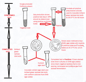 TEST STAGES OF MPN METHOD - Microbiology Class
