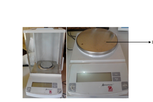 WEIGHING BALANCE - Everything Microbiology