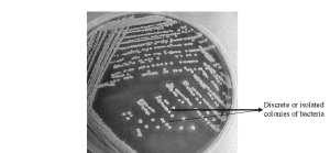 SLIDE RACK & STAINING RACK - #1 Microbiology Resource Hub