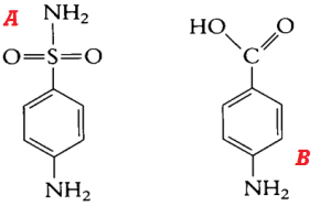 SULPHONAMIDES - Microbiology Class