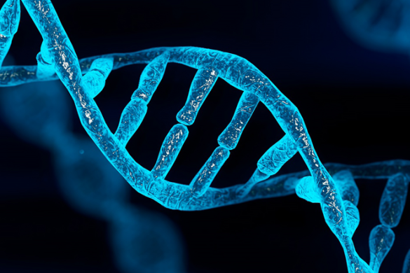 GENOMIC DNA ISOLATION - Everything Microbiology