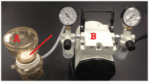 MEMBRANE FILTRATION TECHNIQUE - Microbiology Class