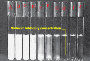 MINIMUM INHIBITORY CONCENTRATION INTERPRETATION: Guidelines For ...