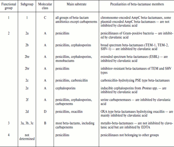 BETA-LACTAMASE: an important resistance mechanism in bacteria ...