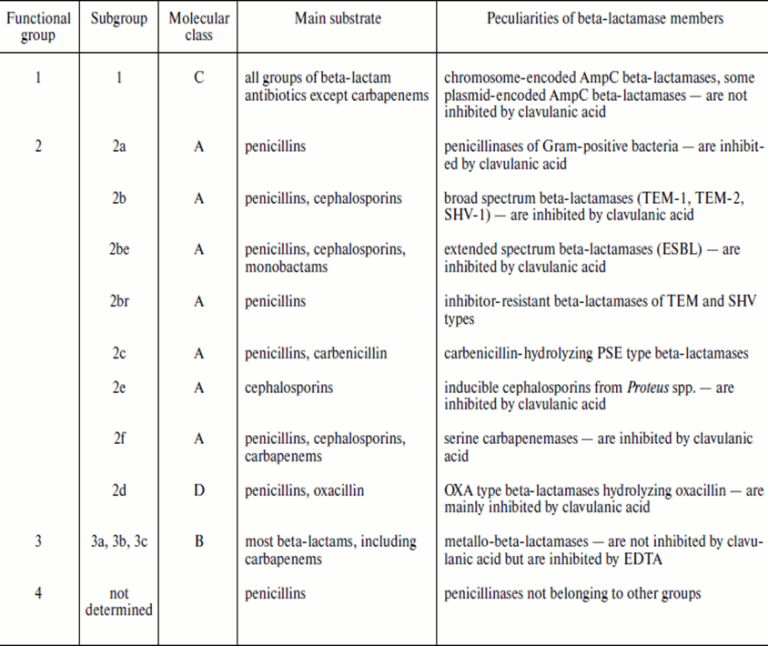 BETA-LACTAMASE: An Important Resistance Mechanism In Bacteria ...